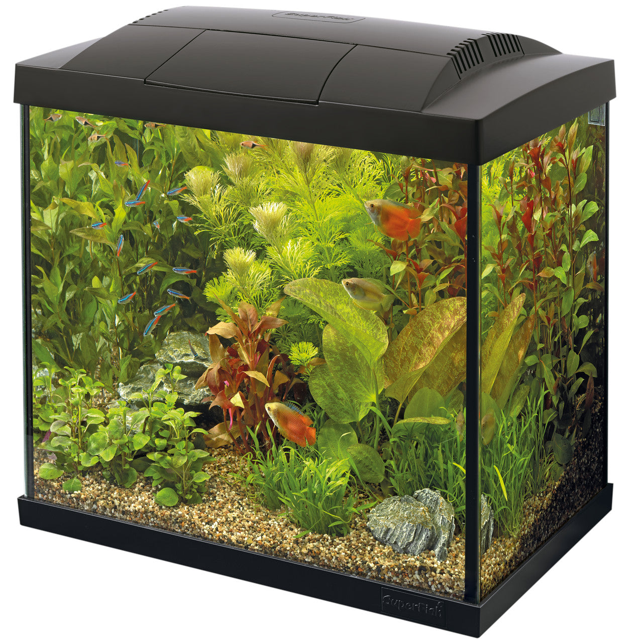 Superfish Start 50 Complete Aquarium Kit Fish Tank Set Stand Available ...