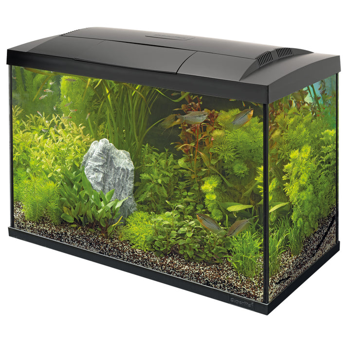 Superfish Start 70 Complete Aquarium Kit Fish Tank Set Stand Available ...