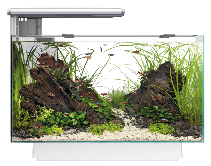 Superfish Quadro 40 Multi-LED Complete Aquarium Kit Fish Tank Set ...