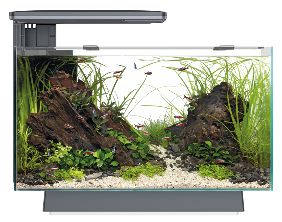 Superfish Quadro 40 Multi-LED Complete Aquarium Kit Fish Tank Set ...
