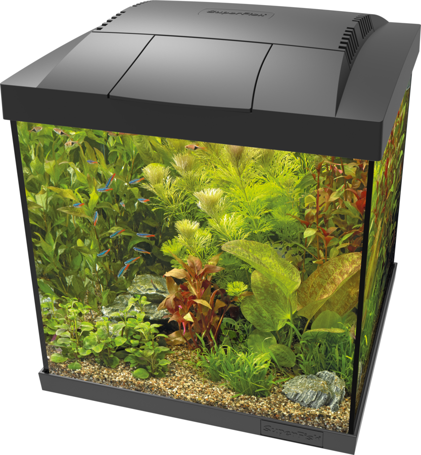 Superfish Start 30 Qube Kit Complete Aquarium Set Fish Tank ...