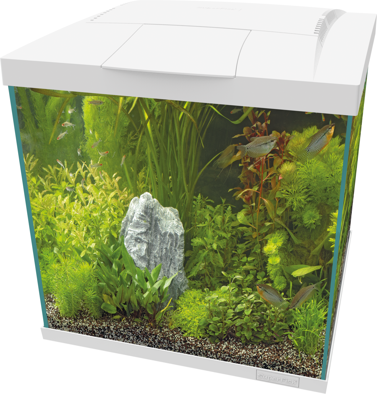 Superfish Start 60 Qube Kit Complete Aquarium Set Fish Tank ...