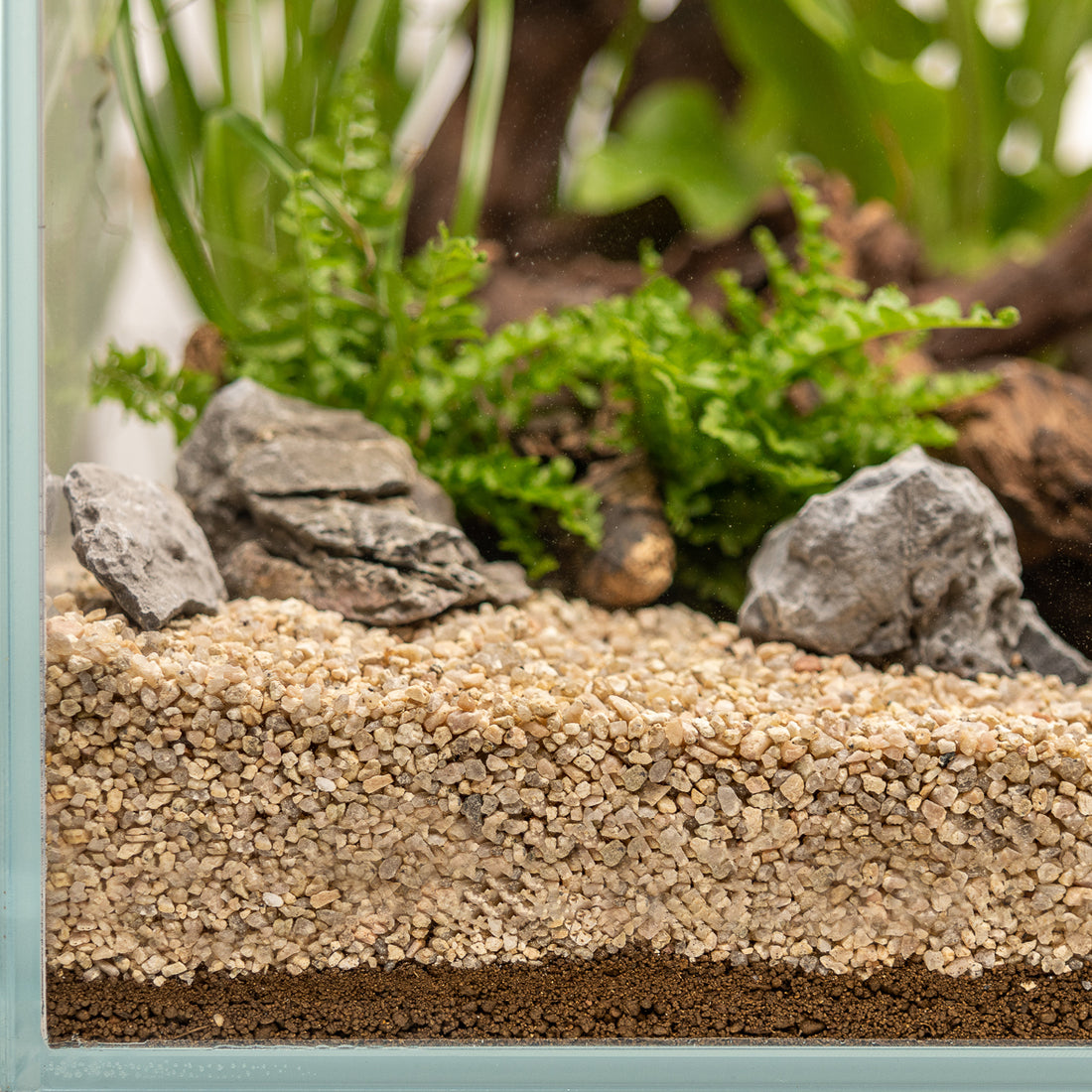 Dennerle Plants Substrate - Aquarium Plant Growth Nutrient Media Soil ...